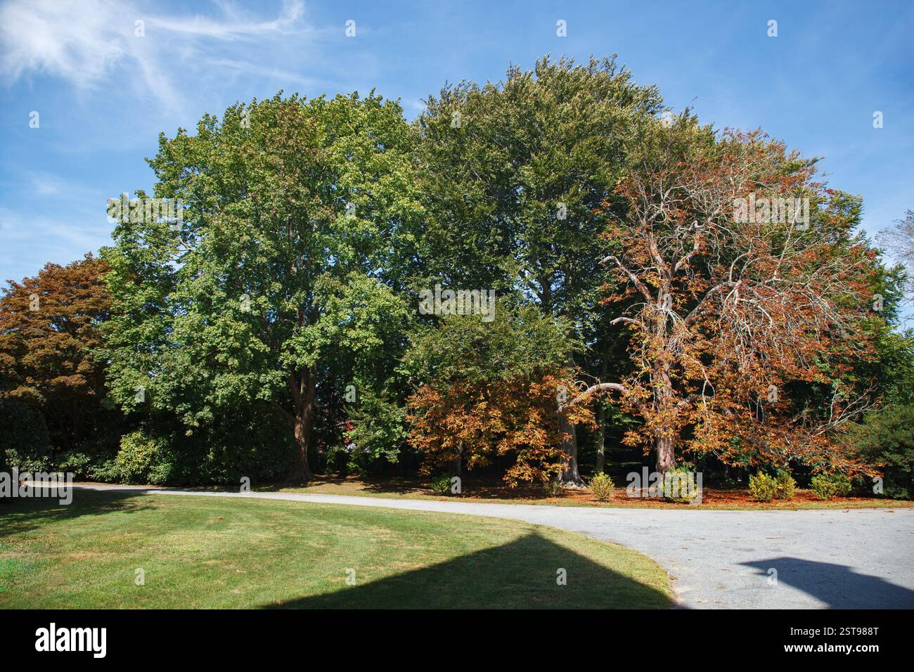 The Chateau-sur-Mer gilded age historic mansion beautiful garden at ...