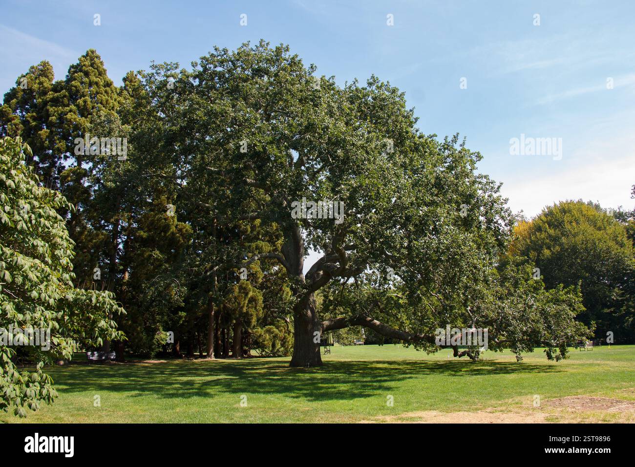 The Chateau-sur-Mer gilded age historic mansion beautiful garden at ...