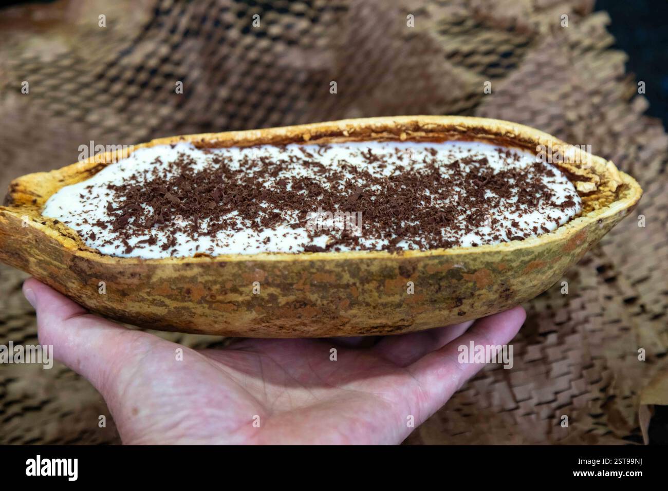 Traditional cupuaçu cream, cupuaçu mousse served in the fruit shell ...