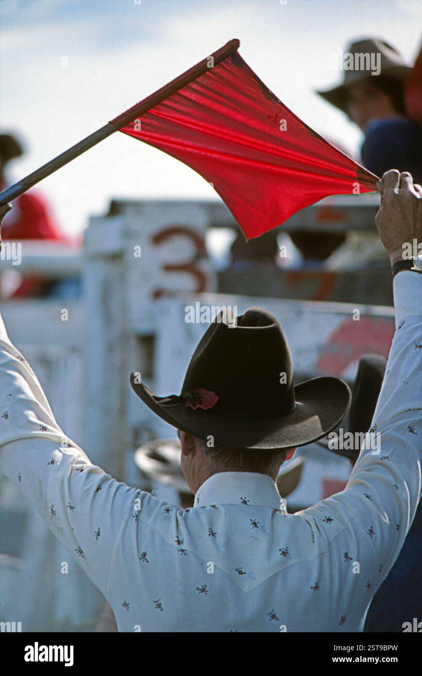 The rodeo judge signals the start of the event timer by raising a red ...