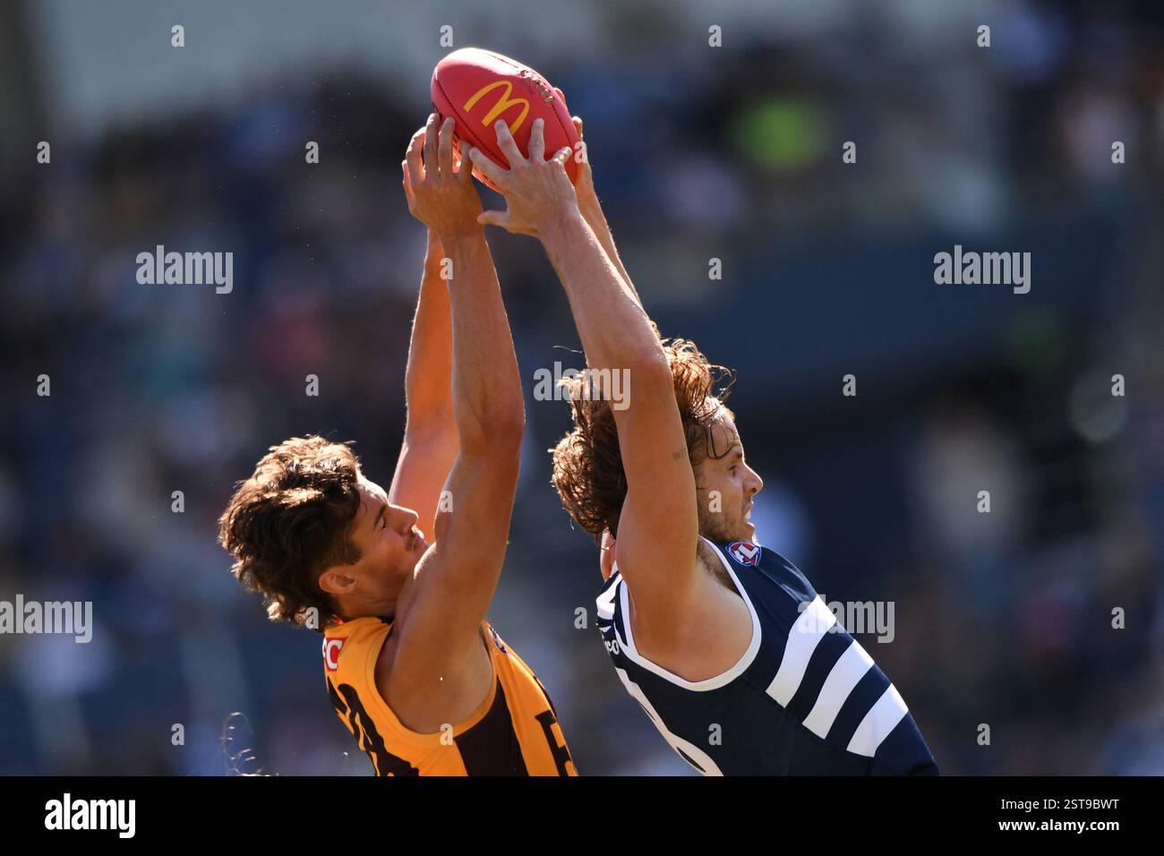 Geelong, Australia. 17th Feb, 2025. Max Ramsden of the Hawks (left) and ...