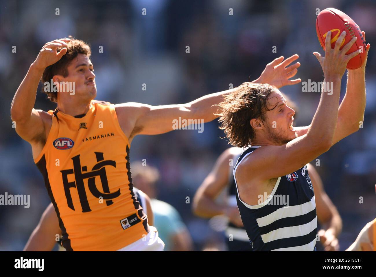 Geelong, Australia. 17th Feb, 2025. Max Ramsden of the Hawks (left) and ...
