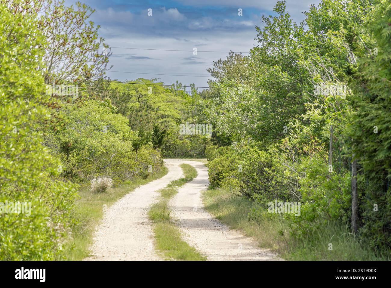section of a dirt road in eastern long island Stock Photo - Alamy