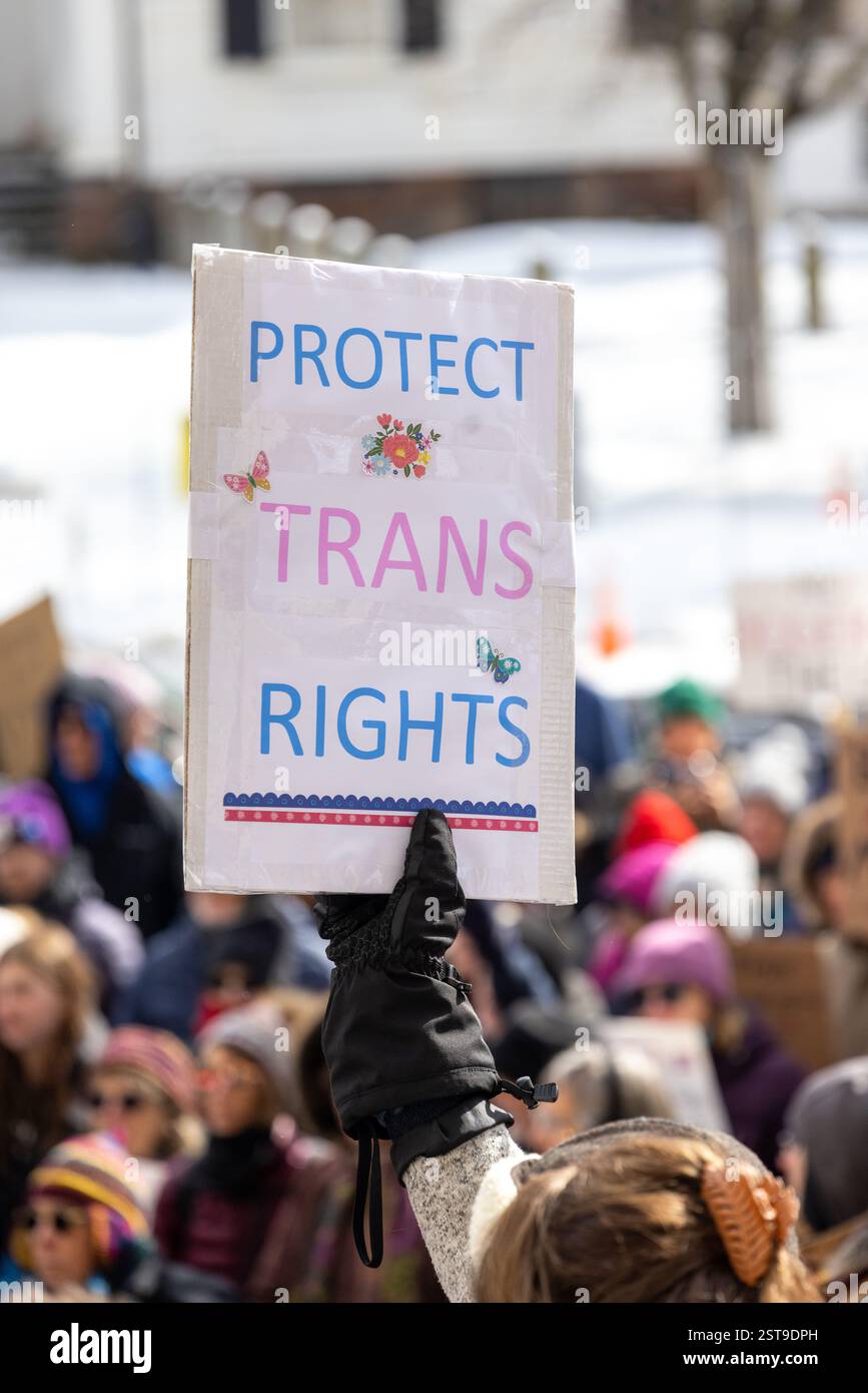 A diverse crowd gathers in Springfield to advocate for trans rights ...