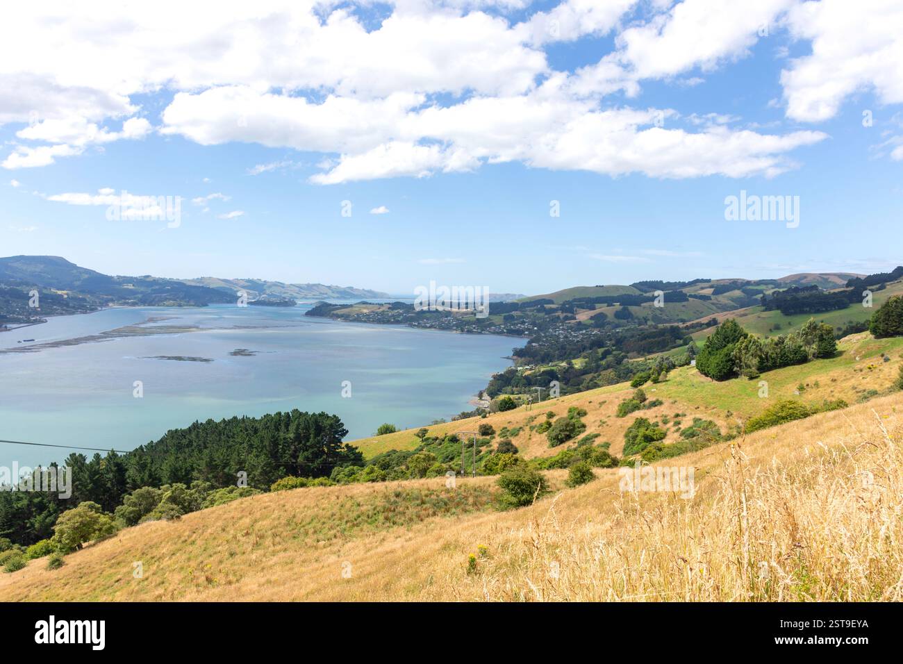 Otago harbour peninsula dunedin hi-res stock photography and images - Alamy