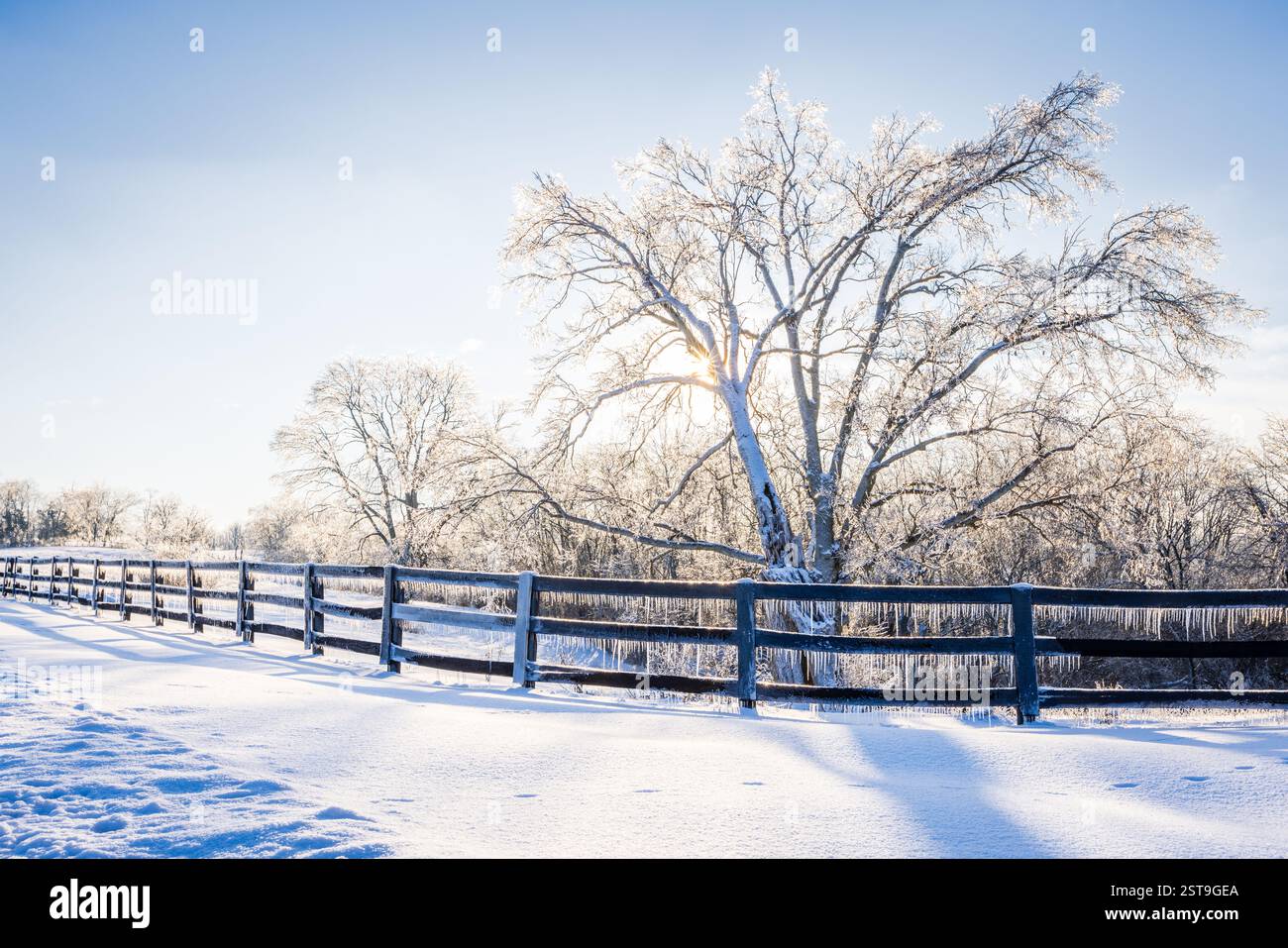 Farm fence snow hi-res stock photography and images - Alamy