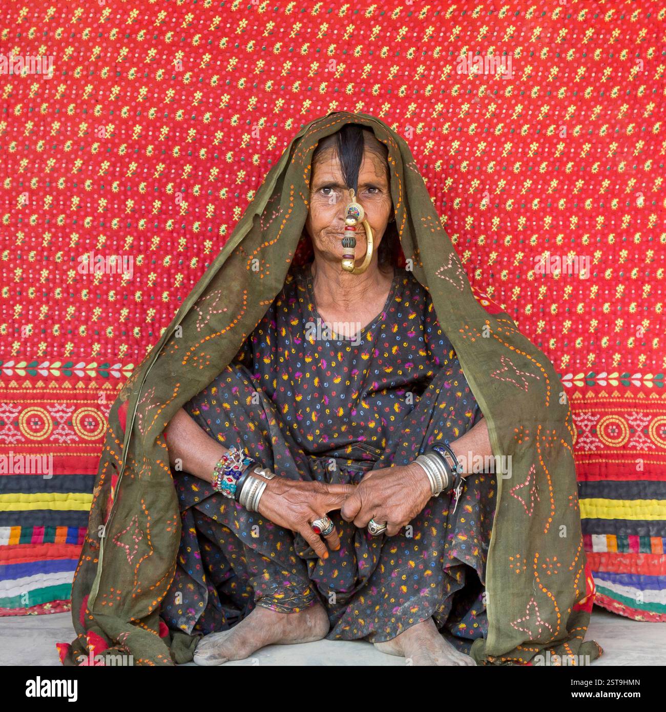 Asia, India, State of Gujarat, Bhuj, Kutch District, Hodka, Malik Jat ...