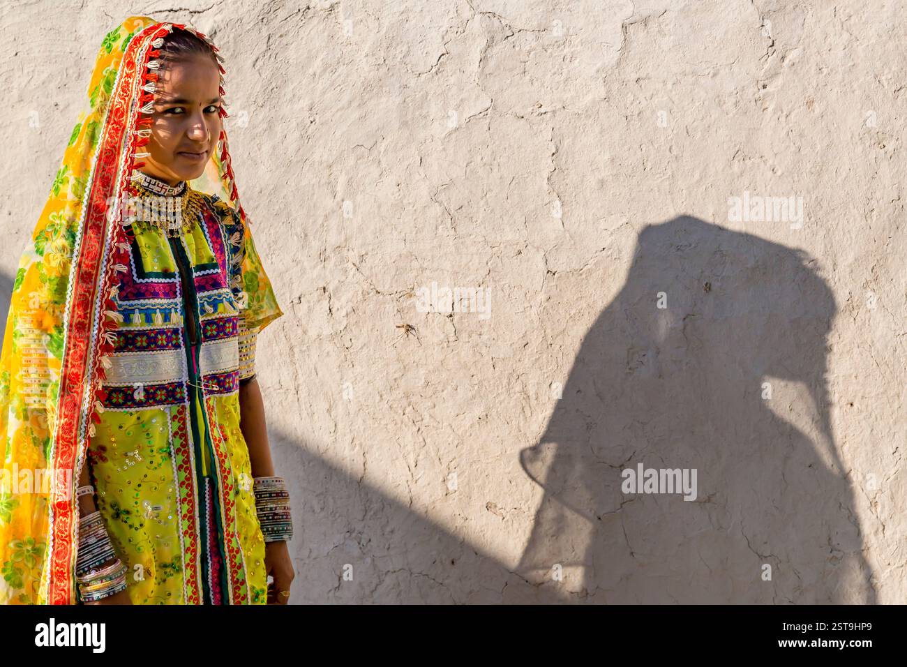 November 22, 2017. Asia, India, State of Gujarat, Bhuj,Kutch, Ludiya ...