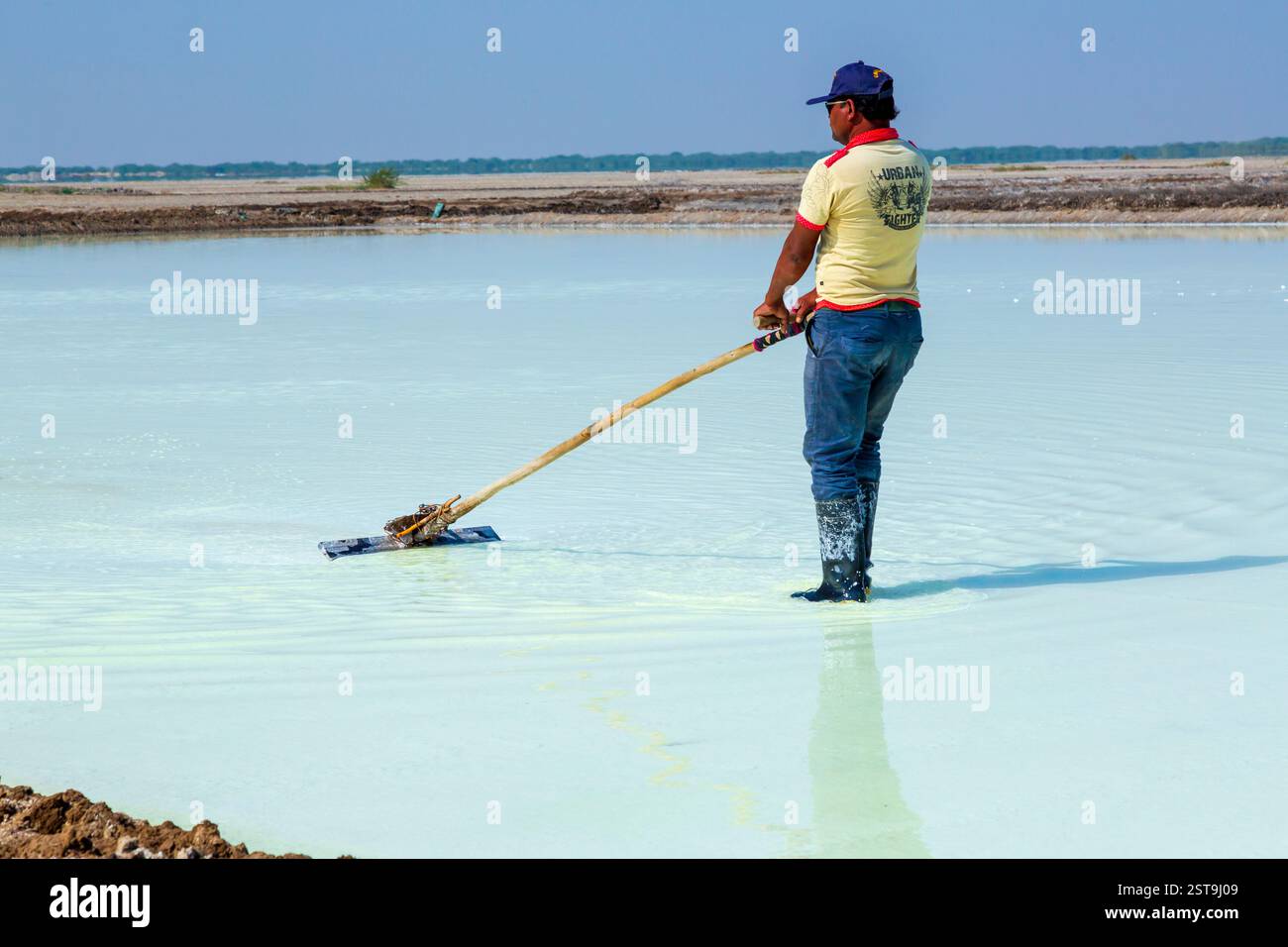 November 24, 2017. Asia, South Asia, India. Great Rann of Kutch, salt ...