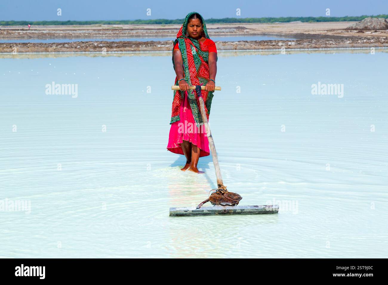 November 24, 2017. Asia, South Asia, India. Great Rann of Kutch, salt ...