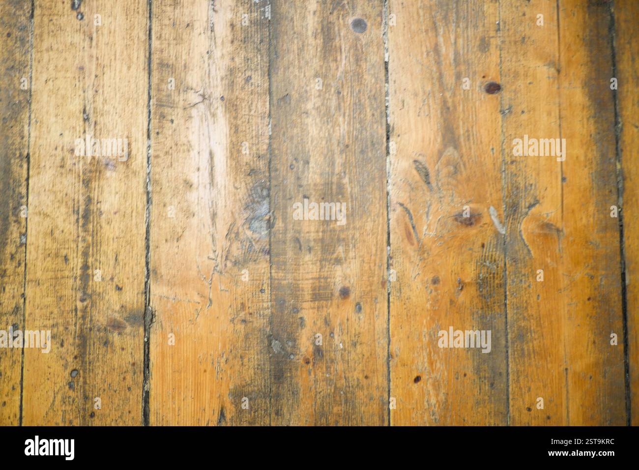 Distinctive surface texture hi-res stock photography and images - Alamy