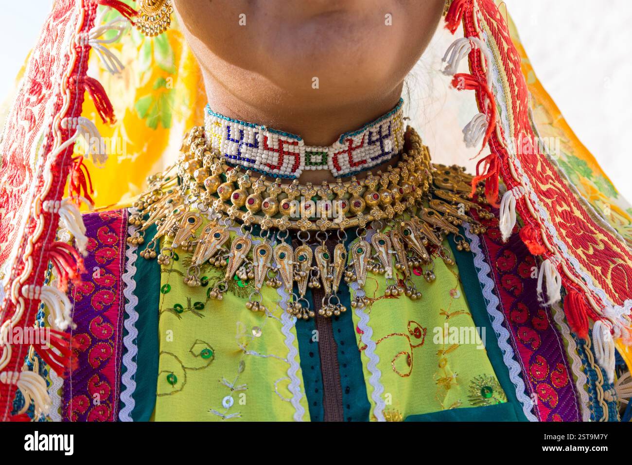 Asia, India, State of Gujarat, Bhuj,Kutch, Ludiya village. Meghwal ...