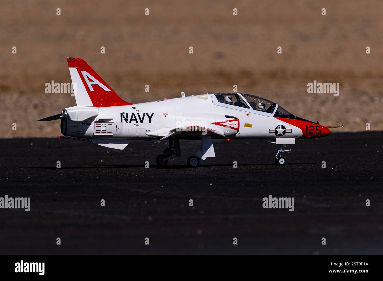 AMPS RC Park 2-15-2025 Phoenix, AZ, USA Scale radio controlled model of ...