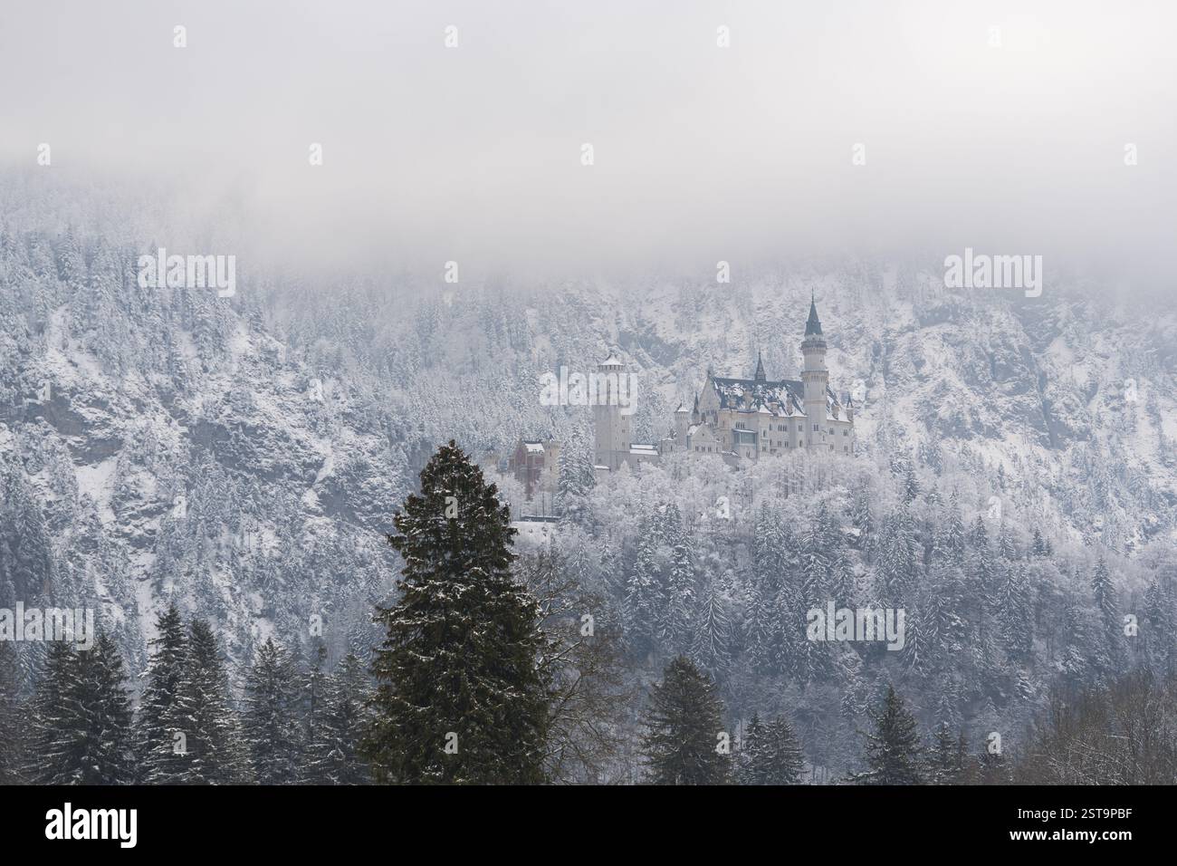 Snow-covered castle lies in a misty winter landscape, surrounded by ...