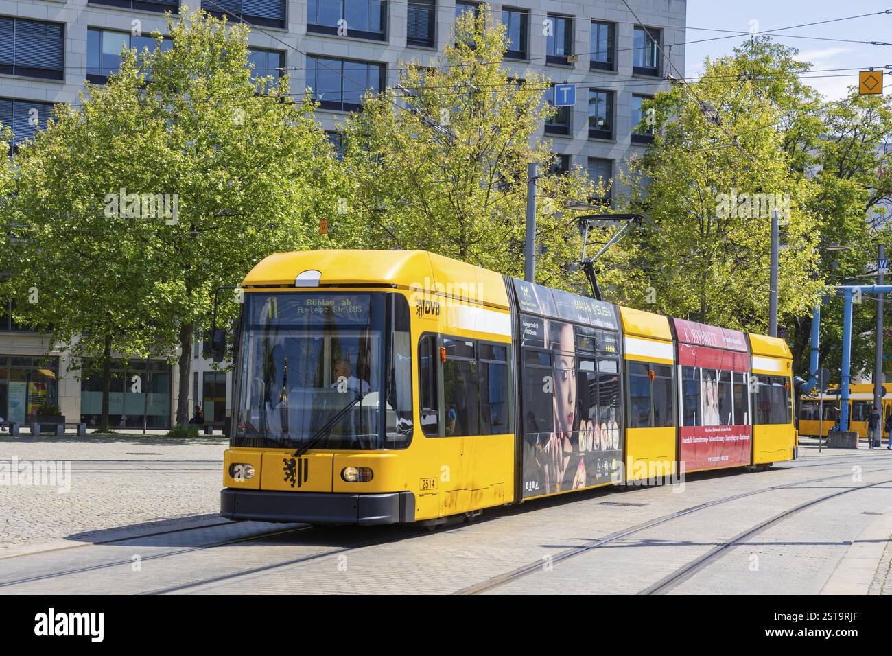 Yellow DVB tram train in the city centre of Dresden. at Postplatz ...