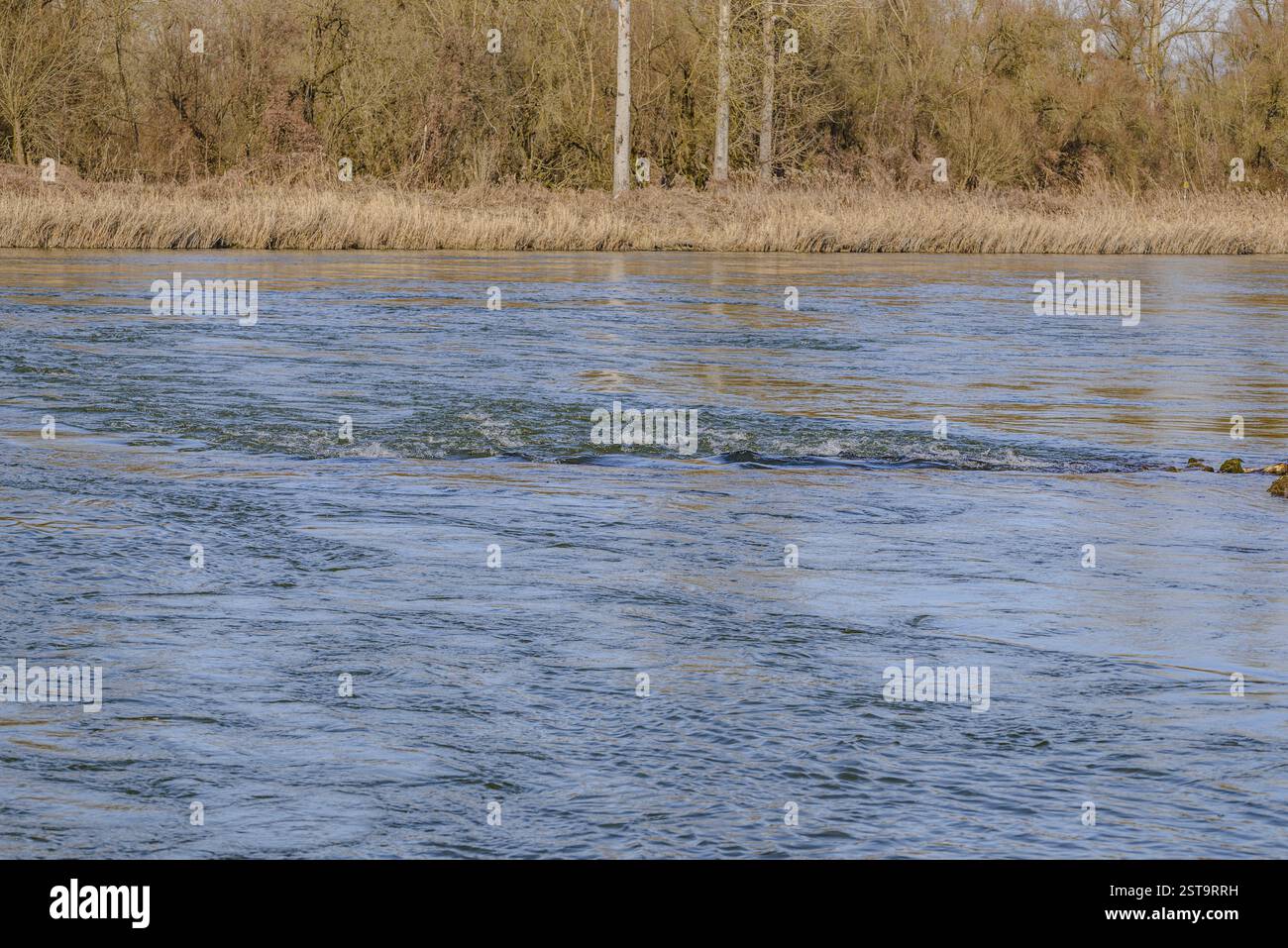 Wide river overgrown bank hi-res stock photography and images - Alamy