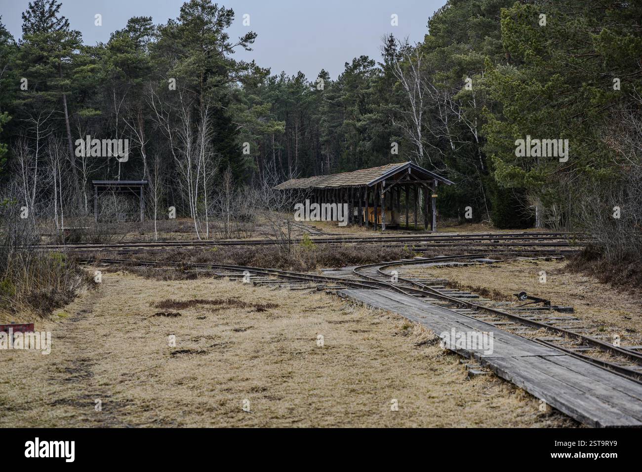 Old wooden hut in a deserted area, surrounded by trees and disused ...