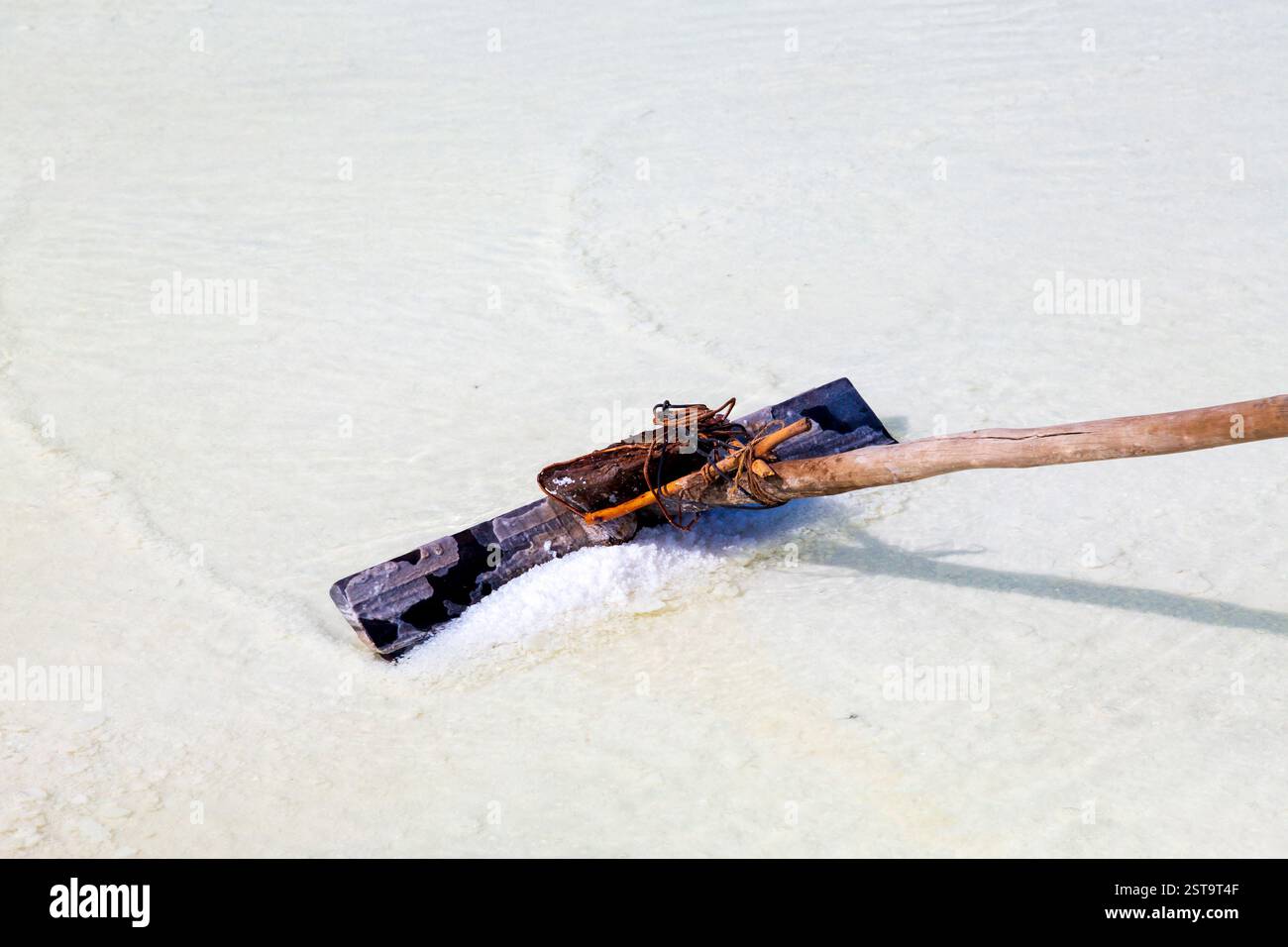 Asia, South Asia, India. Great Rann of Kutch, salt marsh in Thar Desert ...