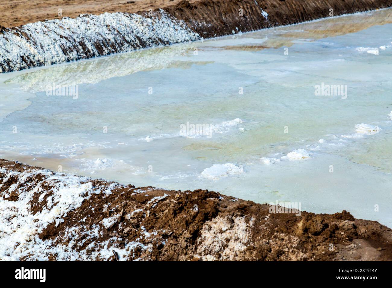 Asia, South Asia, India. Great Rann of Kutch, salt marsh in Thar Desert ...