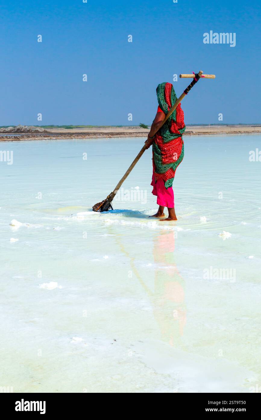 Asia, South Asia, India. Great Rann of Kutch, salt marsh in Thar Desert. One of the largest salt ...