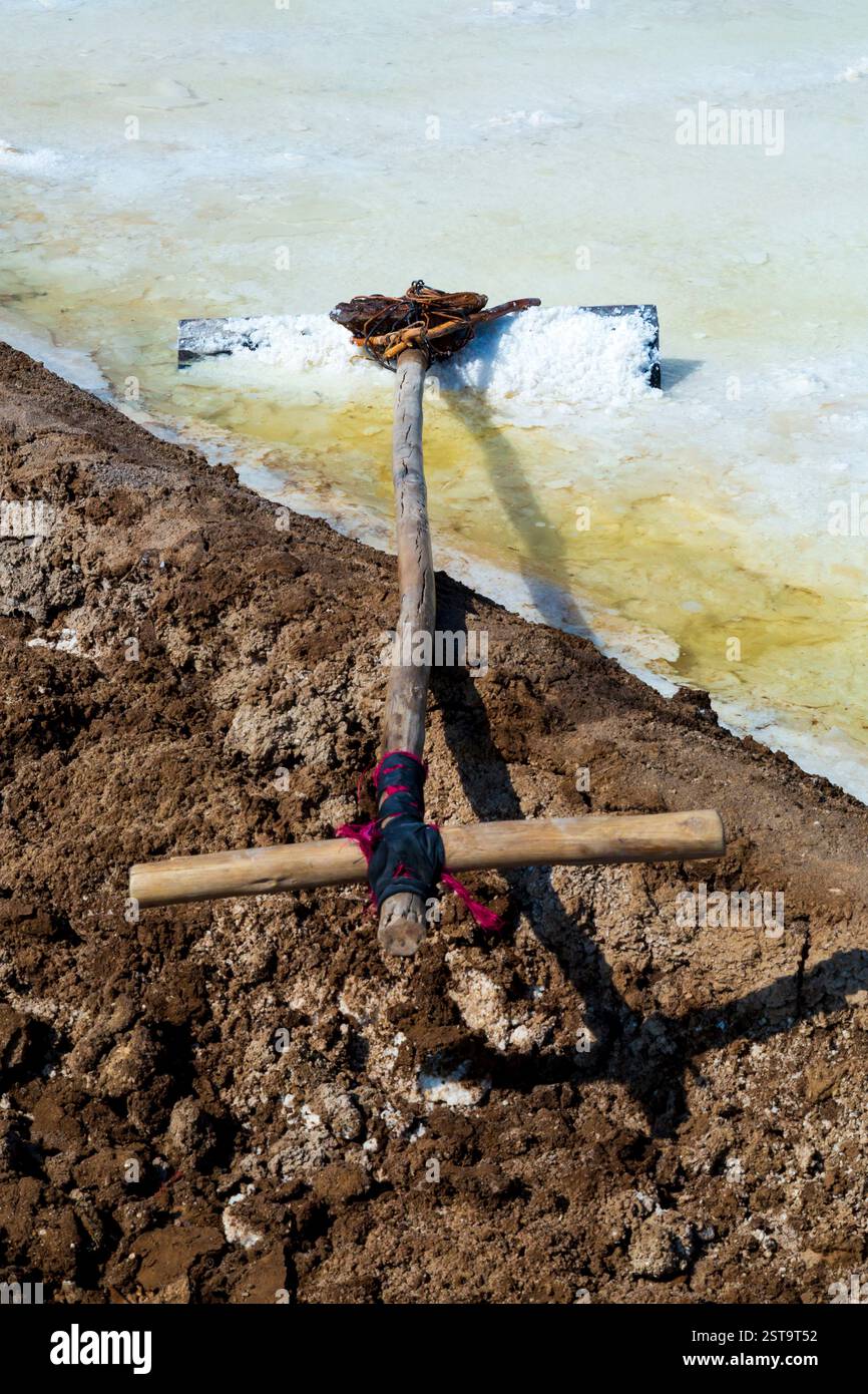 Asia, South Asia, India. Great Rann of Kutch, salt marsh in Thar Desert. One of the largest salt ...