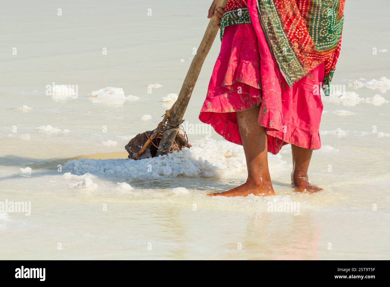 Asia, South Asia, India. Great Rann of Kutch, salt marsh in Thar Desert. One of the largest salt ...