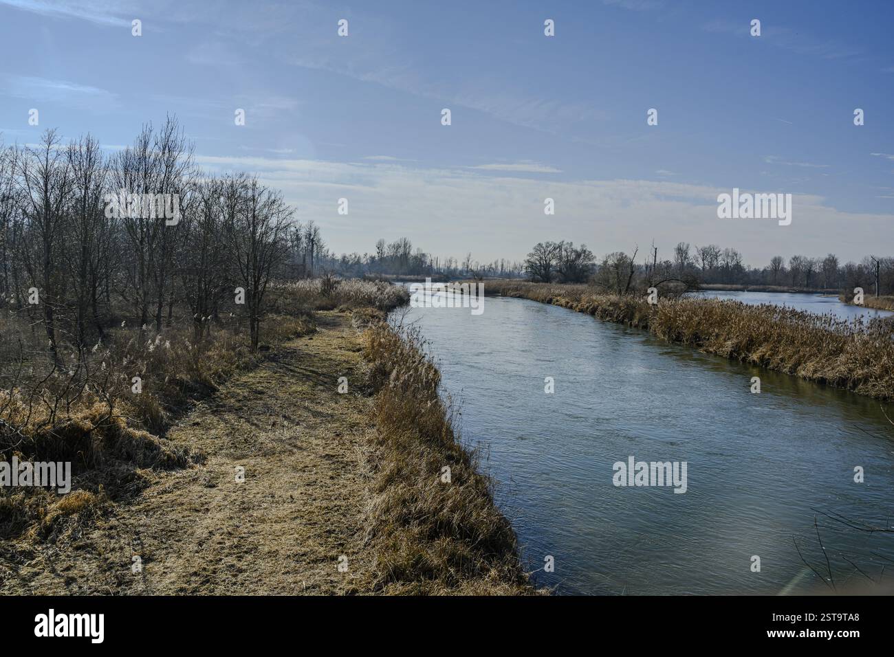 River and parallel path in wintry nature under a clear sky, Isar ...