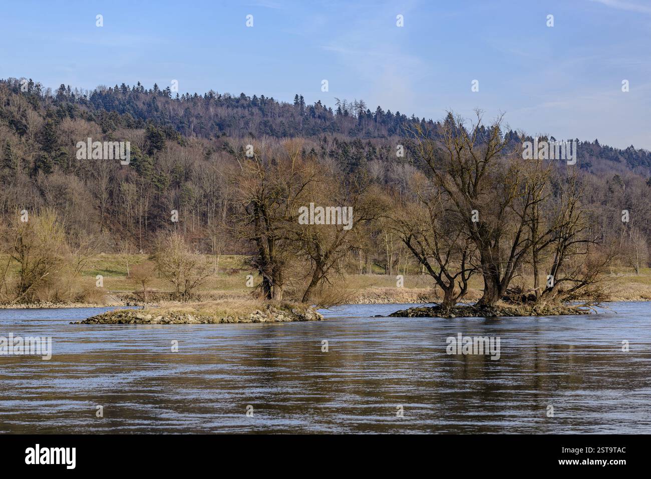 River landscape with small islands and forest on the banks under a blue ...