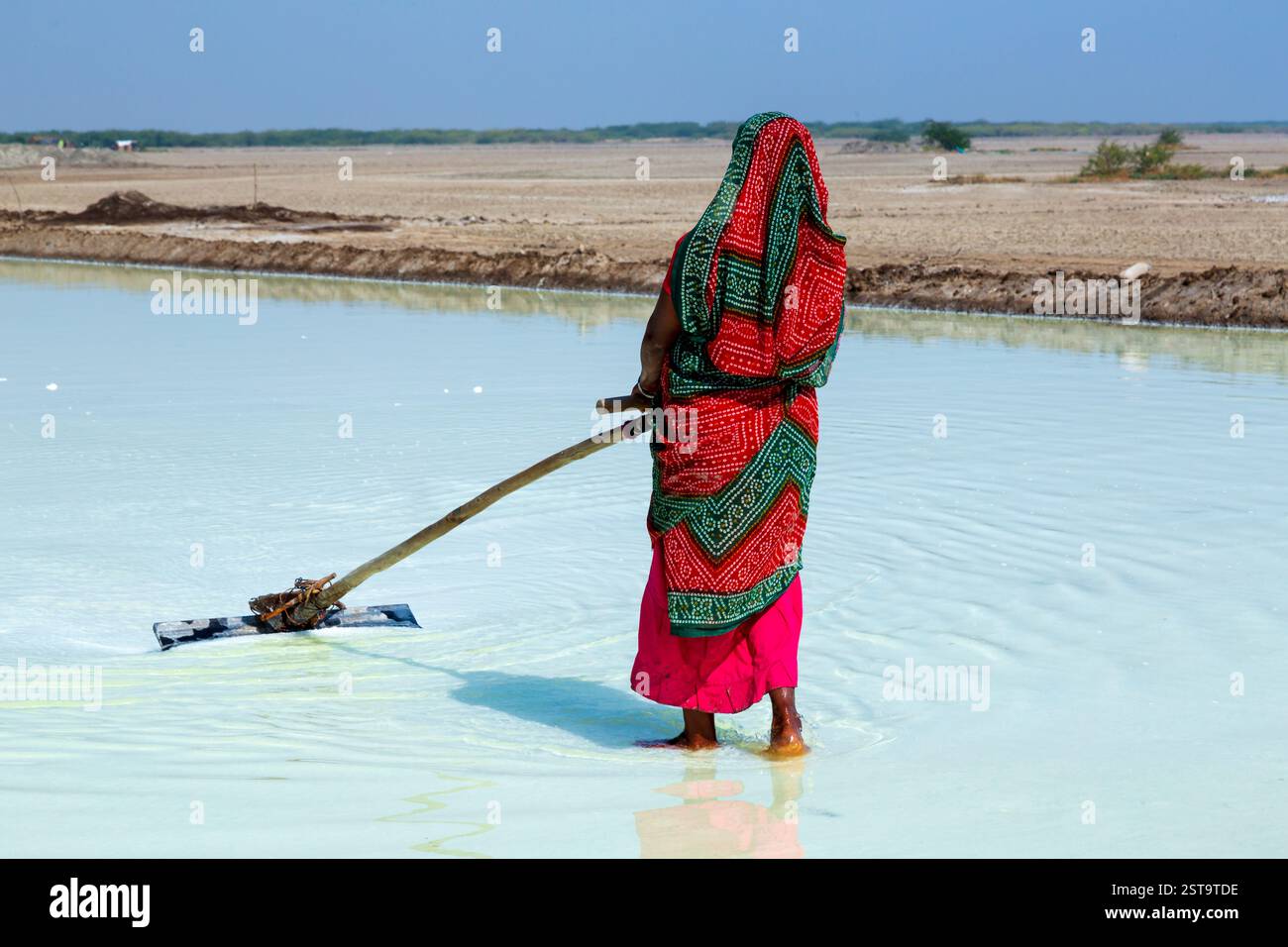 Asia, South Asia, India. Great Rann of Kutch, salt marsh in Thar Desert. One of the largest salt ...
