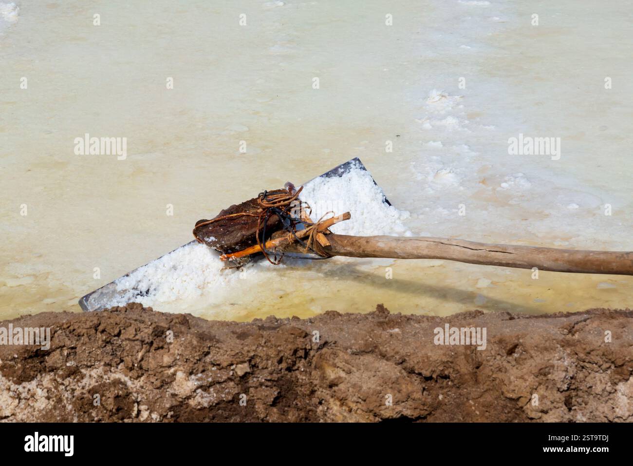 Asia, South Asia, India. Great Rann of Kutch, salt marsh in Thar Desert ...