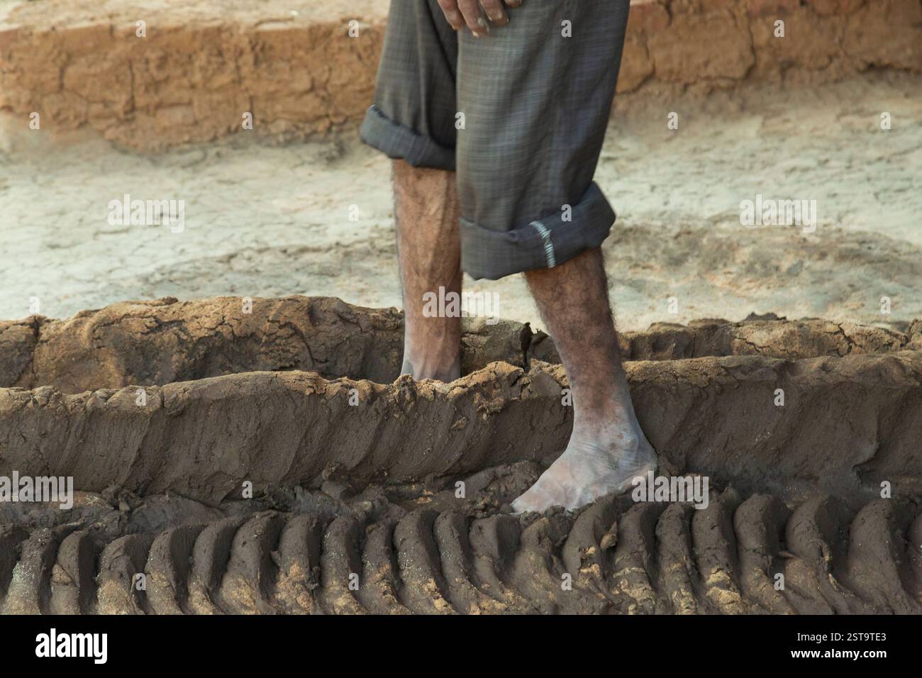 Asia, India, Gujarat,Dasada. Rabari, Mir tribes people. Traditional ...