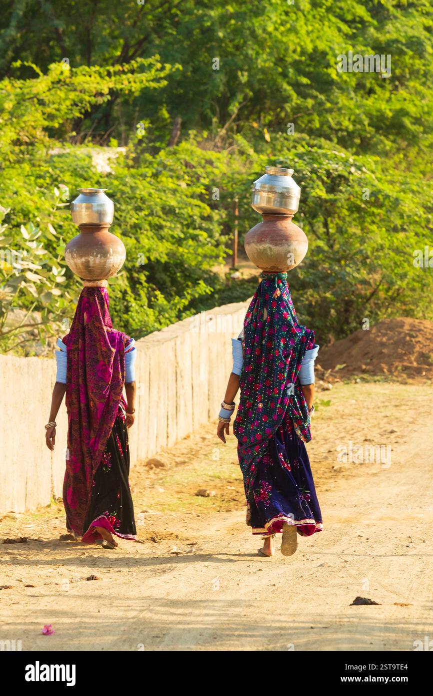 Asia, India, Gujarat,Dasada. Rabari, Mir tribes people. Women carrying ...