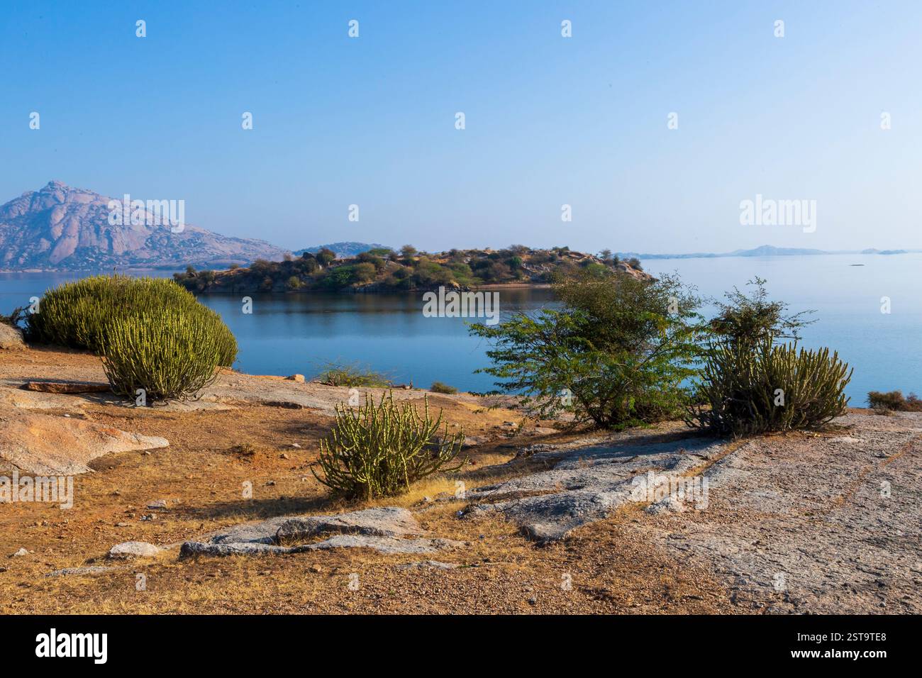 Asia, India, Delhi, Udaiapur, Bera. Lake, reservoir Stock Photo - Alamy