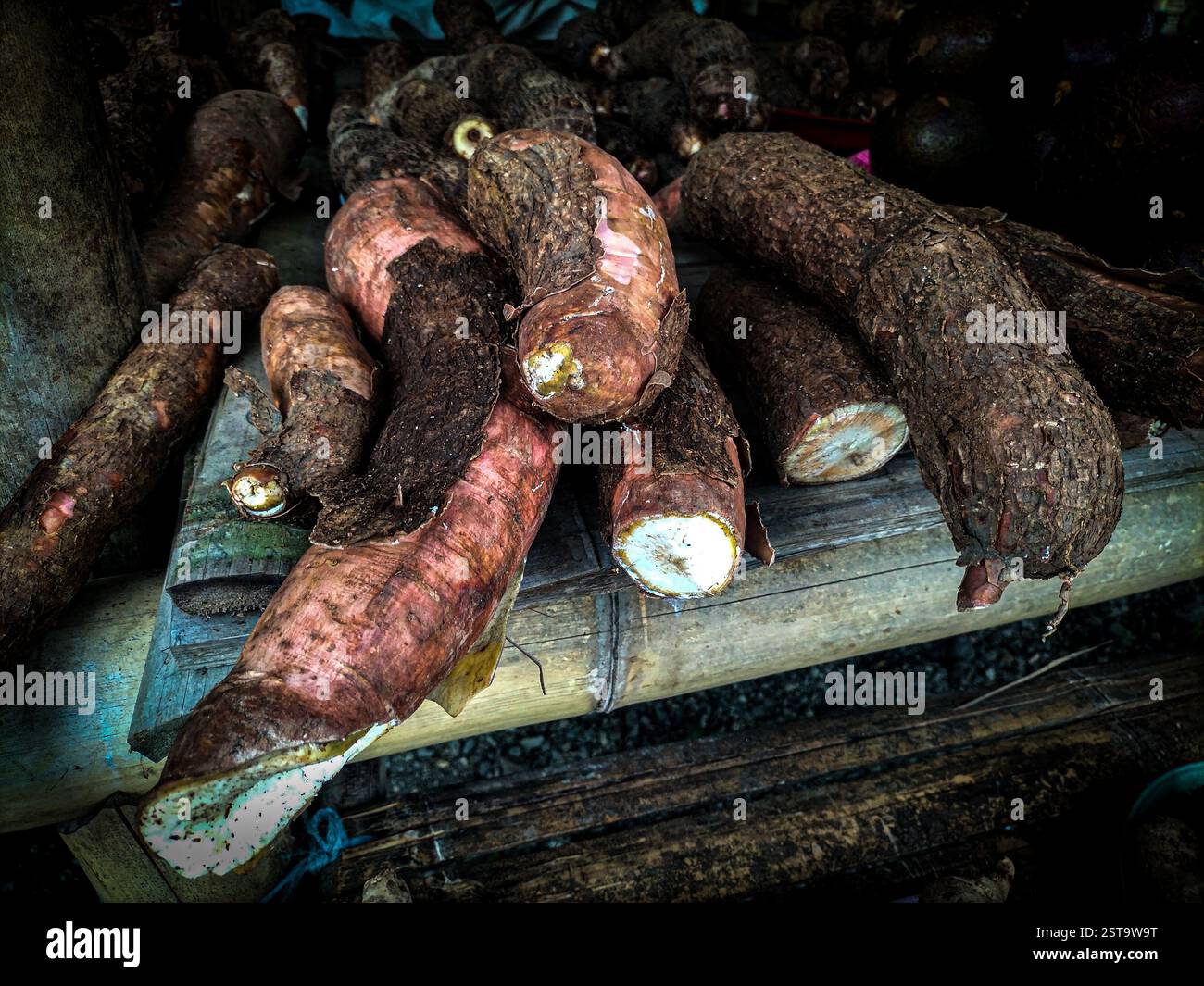 Cassava tuber close up hi-res stock photography and images - Alamy