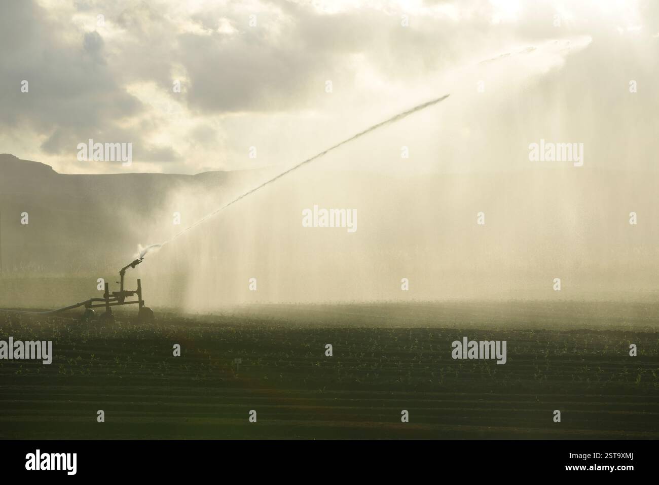 Farming africa colour motion hi-res stock photography and images - Alamy
