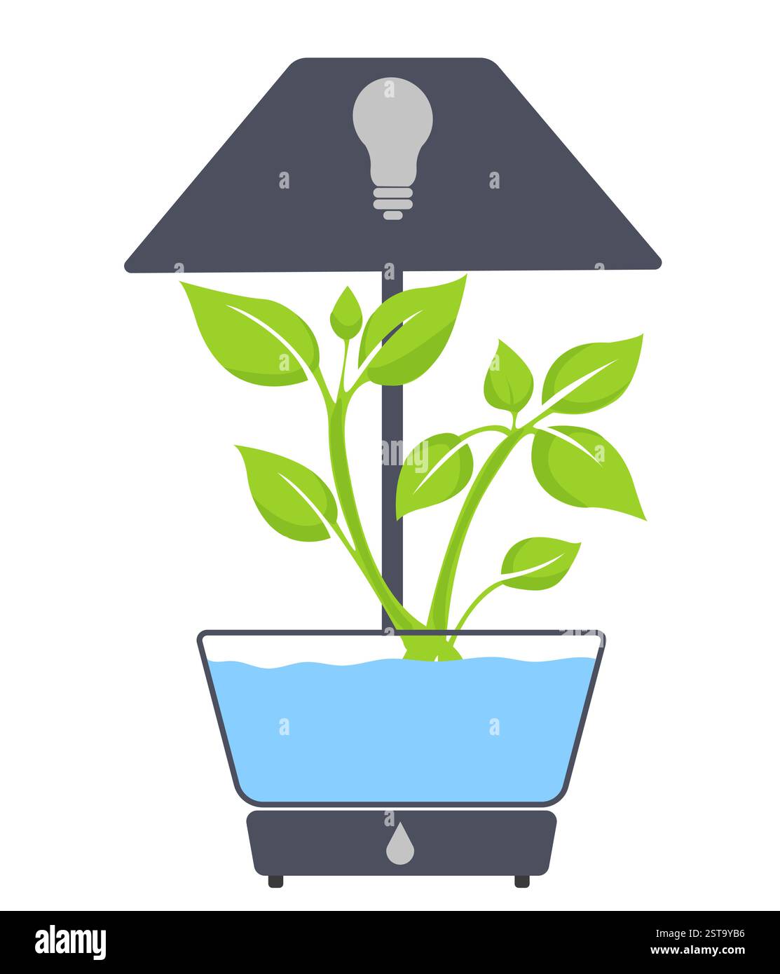 Indoor plant growth system with light and water for optimal nurturing ...