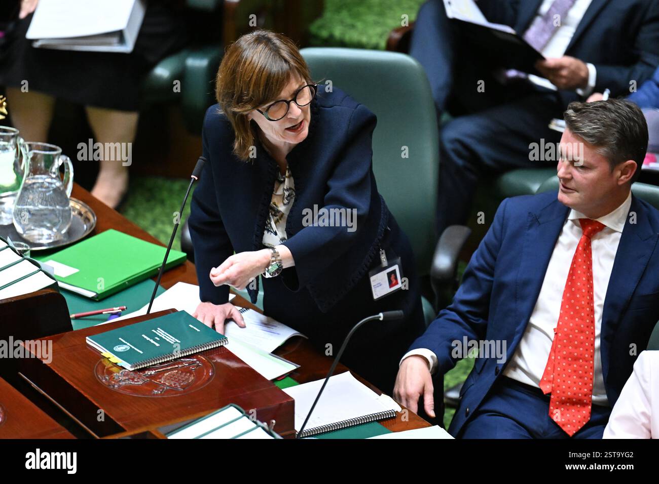Melbourne, Australia. 18th Feb, 2025. Victorian Health Minister Mary ...