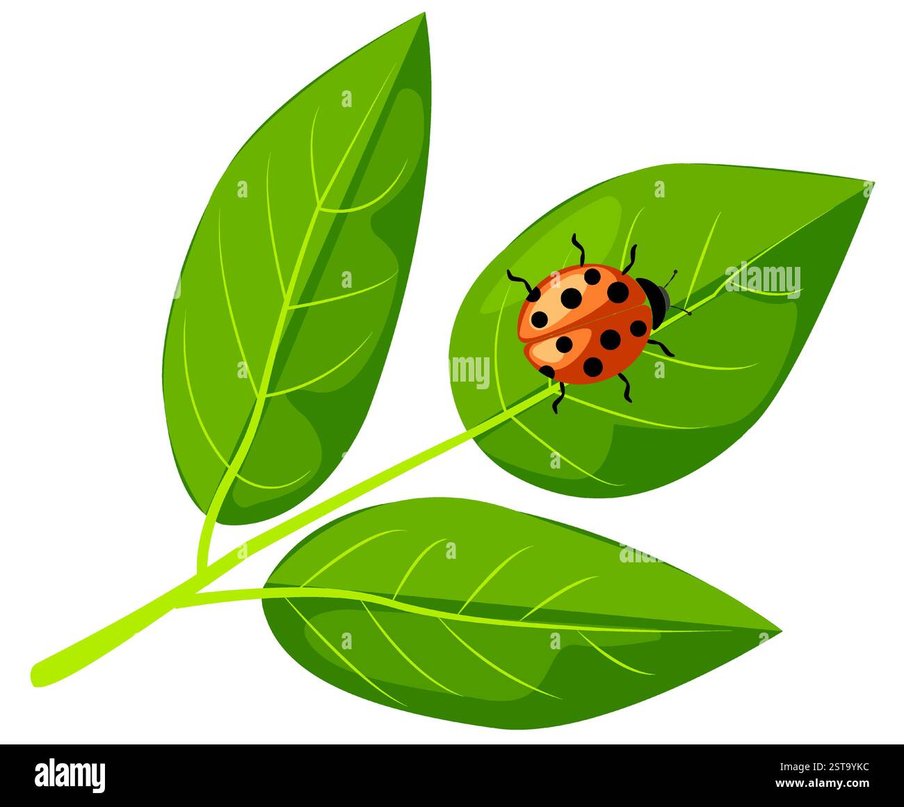 Vibrant organic shapes in green Cut Out Stock Images & Pictures - Alamy