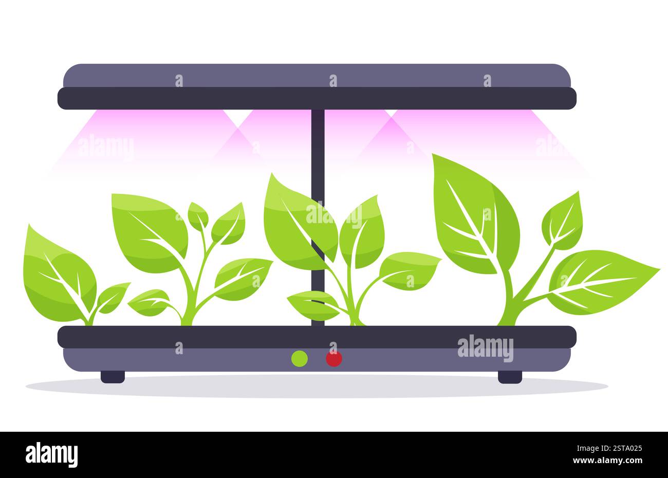 Indoor plant growth setup featuring modern hydroponic system with LED ...