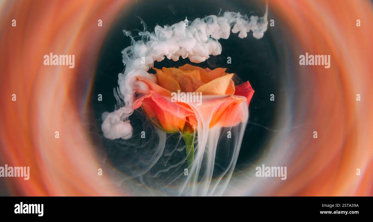 Mystical smoke. Underwater petals. Drip shot white puff spray ink ...