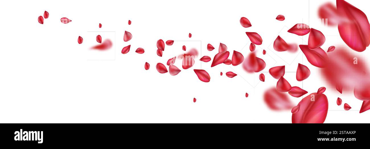 Rose petals flying on white background. Vector realistic illustration ...