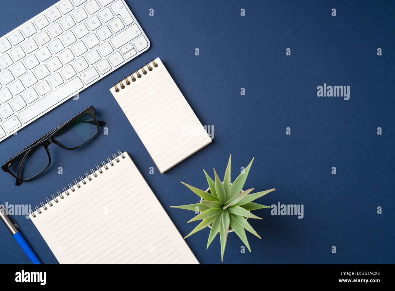 Workspace with keyboard, laptop, office supplies, pen, green leaf. Flat lay, top view blue ...