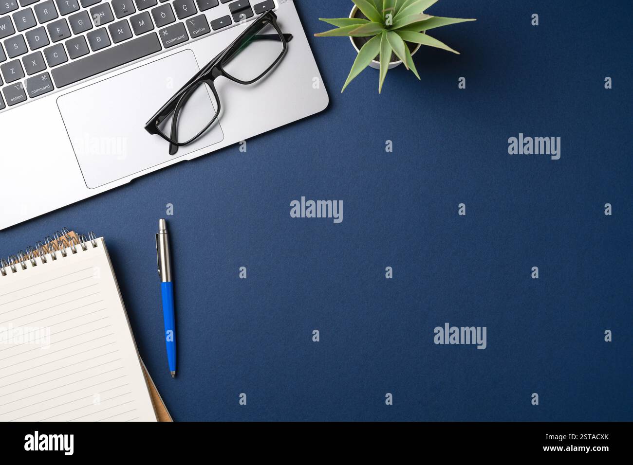 Workspace with keyboard, notebook, office supplies, pen, green leaf ...