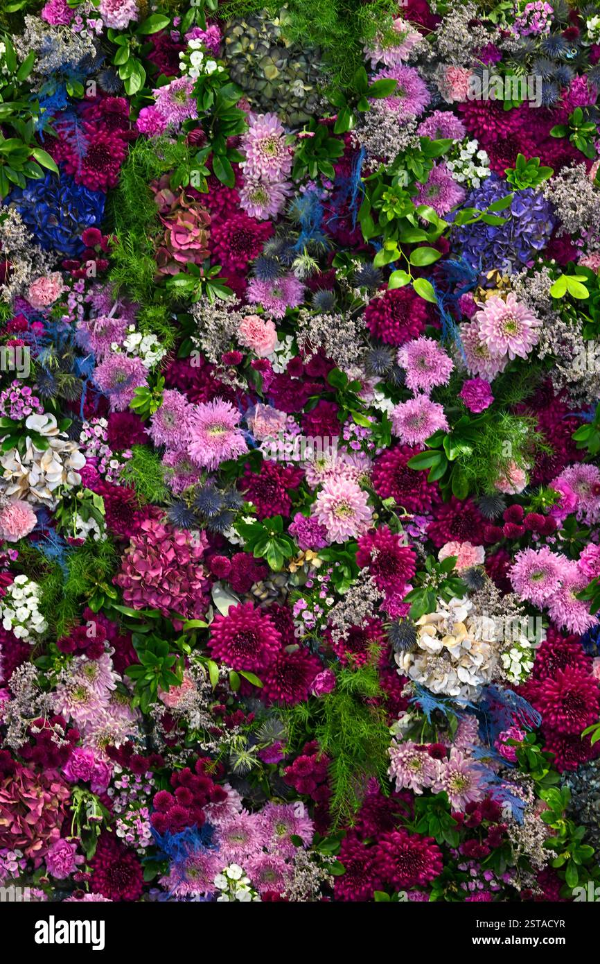 Vibrant floral wall decoration showcasing an array of colorful flowers ...