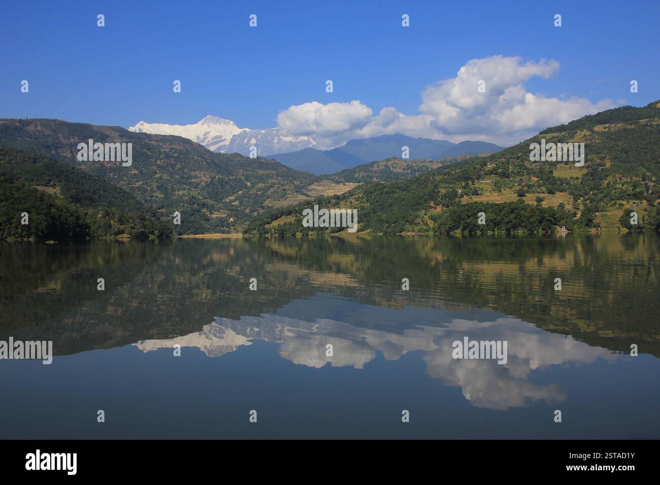 Lamjung Himal reflecting in Lake Begnas, Nepal Stock Photo - Alamy