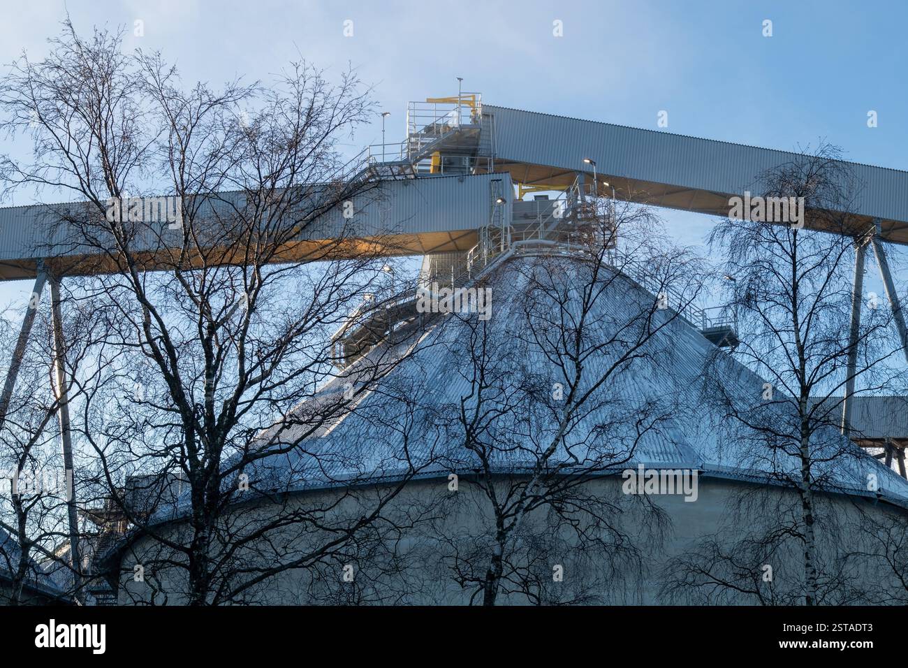 paper mill silo behind birch trees in winter Stock Photo - Alamy