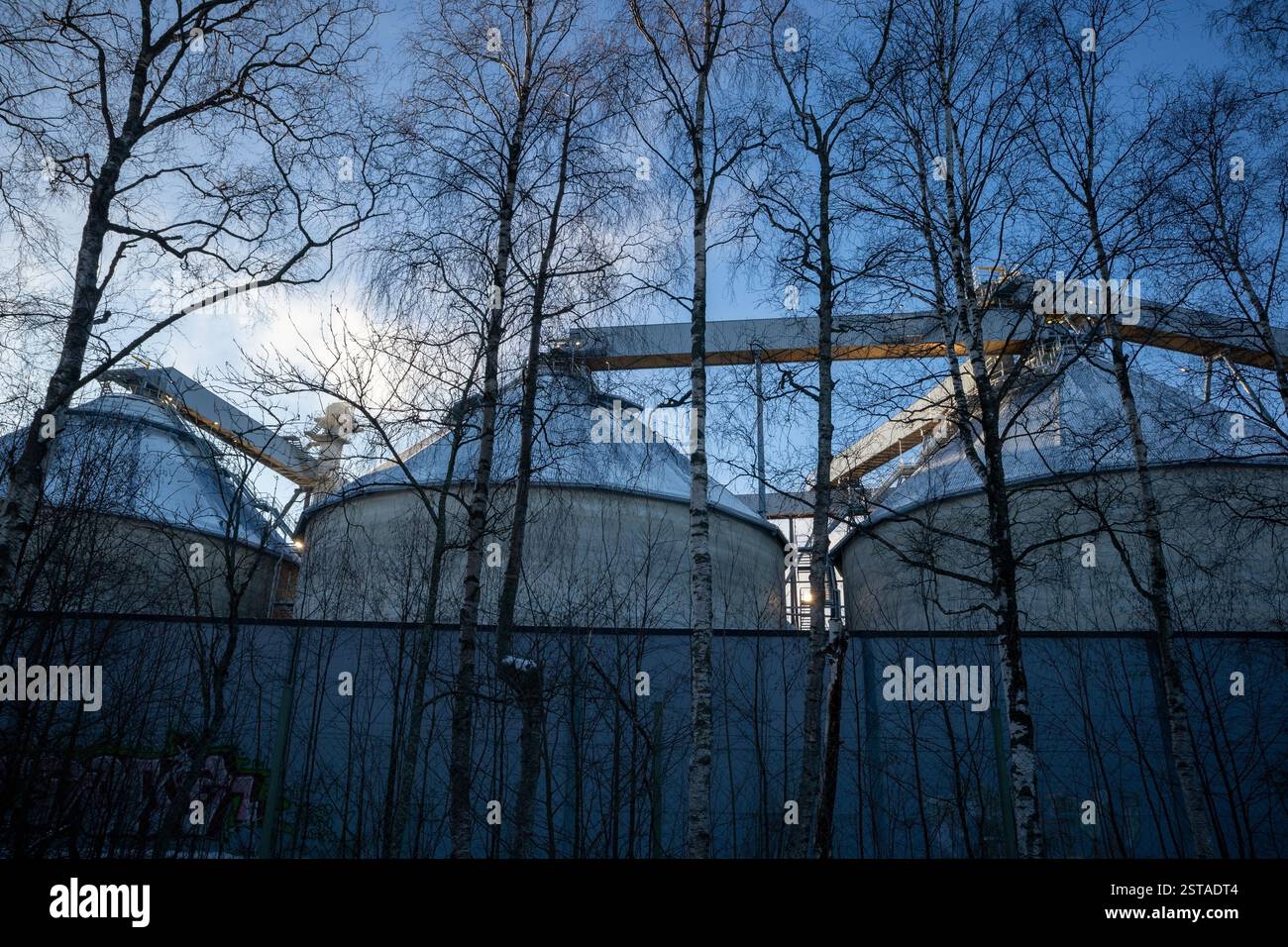 paper mill silos behind birch trees in winter Stock Photo - Alamy