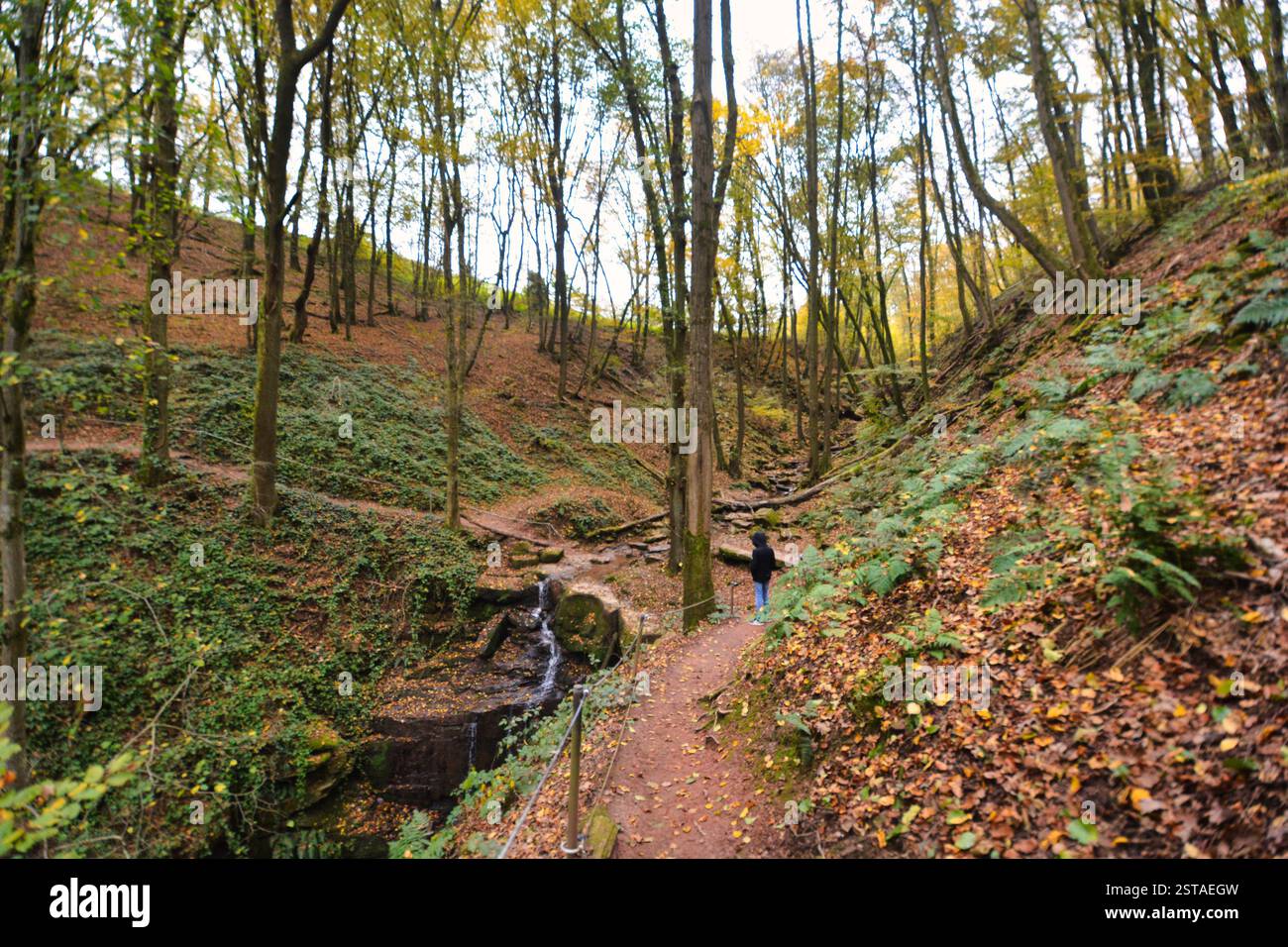Beautiful rocky forest landscape at the Margaret Gorge in Neckargerach ...