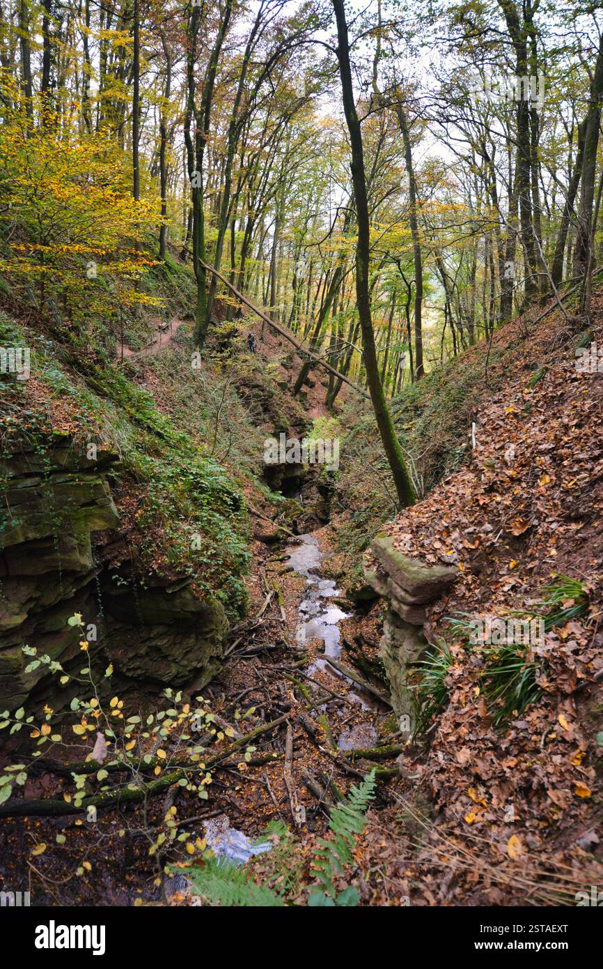 Beautiful rocky forest landscape at the Margaret Gorge in Neckargerach ...