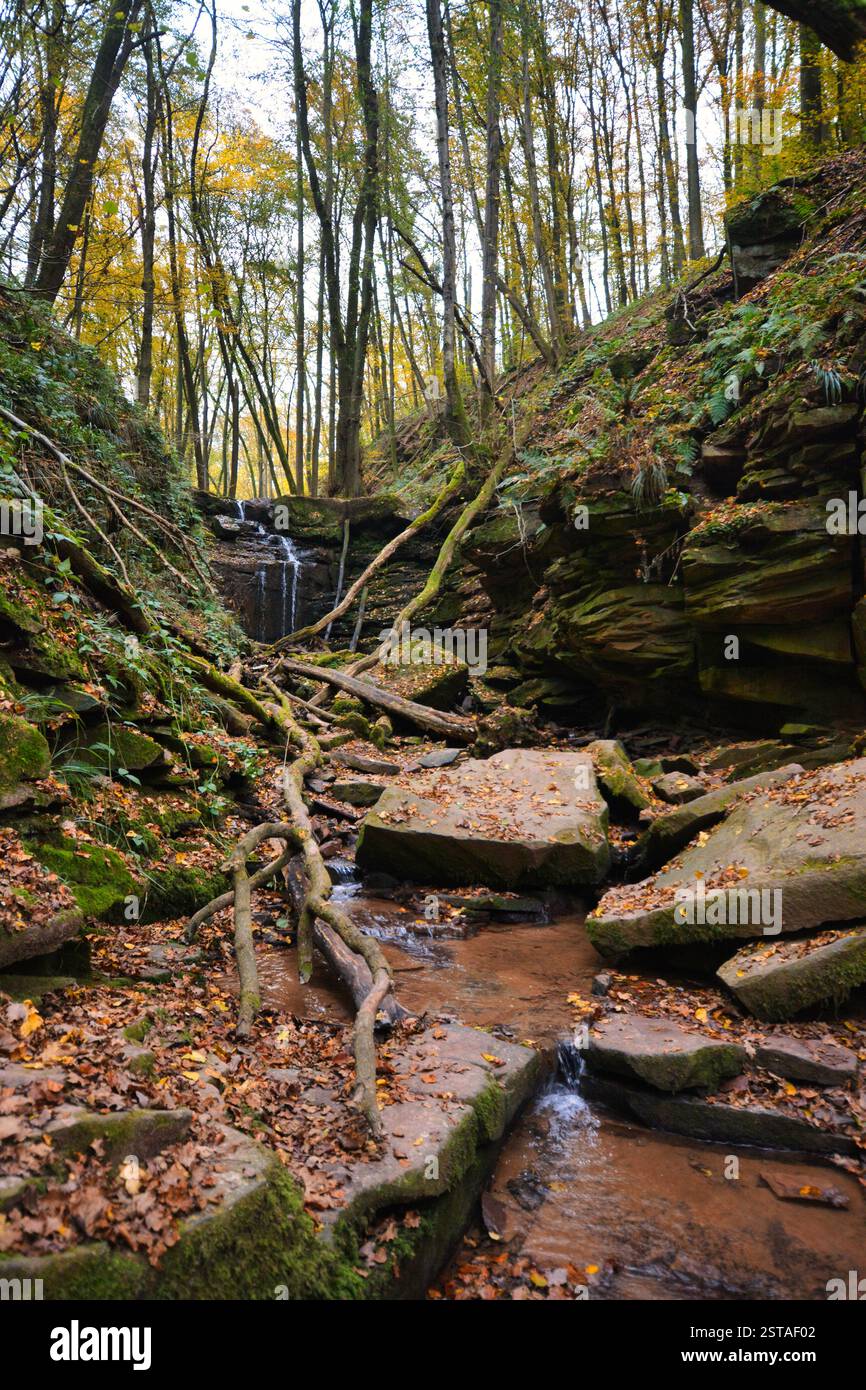 Beautiful rocky forest landscape at the Margaret Gorge in Neckargerach ...